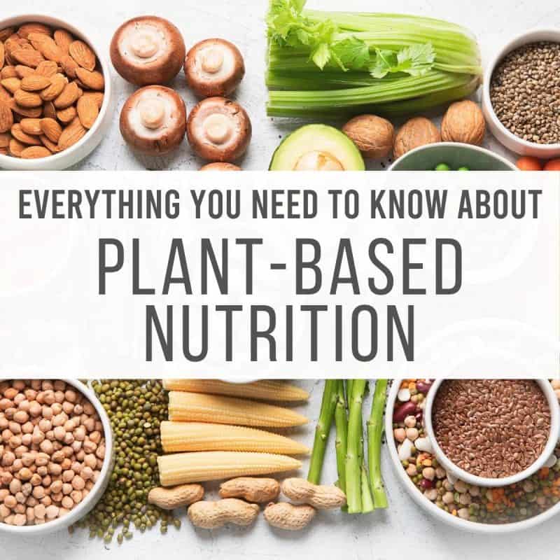 12 Must-Have Tools for a Plant-Based Kitchen | Helpful Vegan Kitchen Tools